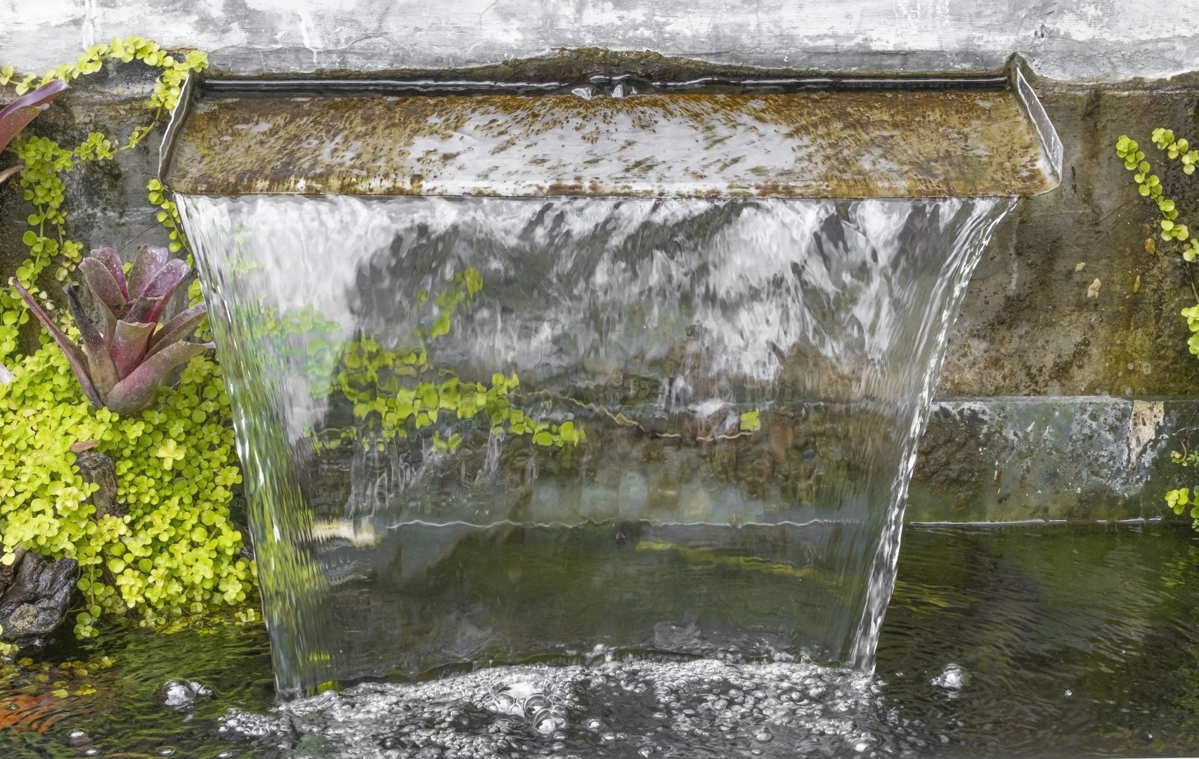 Water Feature Contractor in Holly Springs, Raleigh, & Beyond